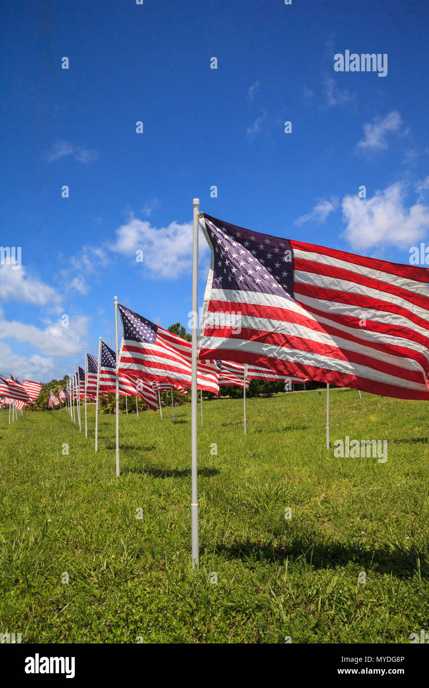 Patriotic display hi-res stock photography and images - Alamy