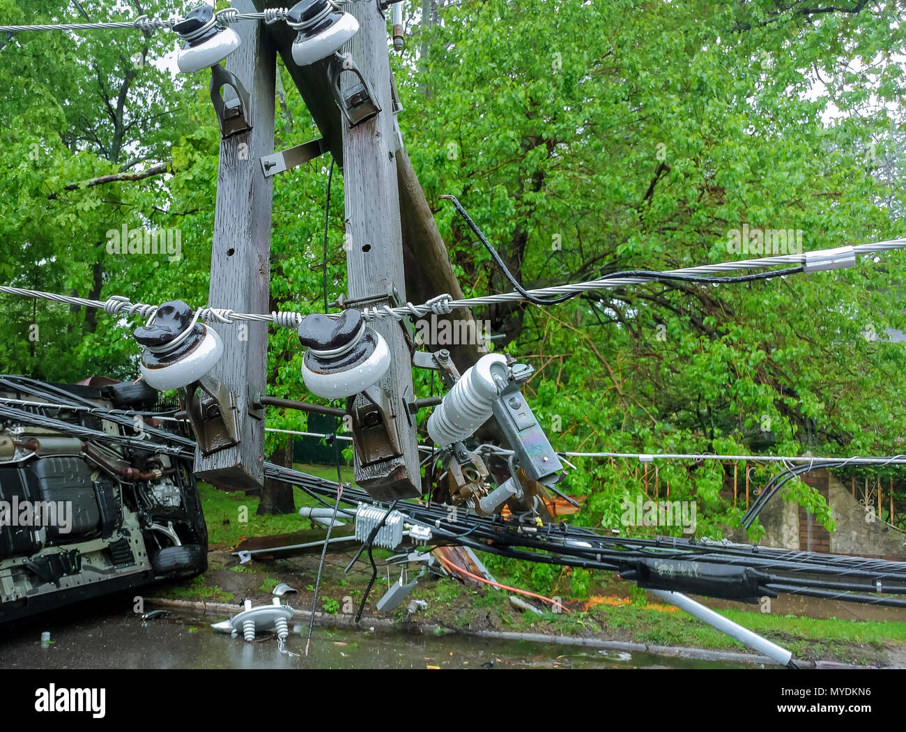transformer on a electric poles and a tree laying across power lines ...