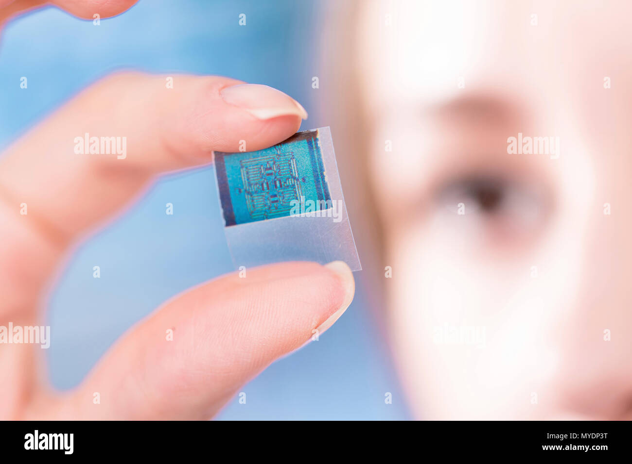 Technician examining microchip in microelectronics laboratory Stock ...
