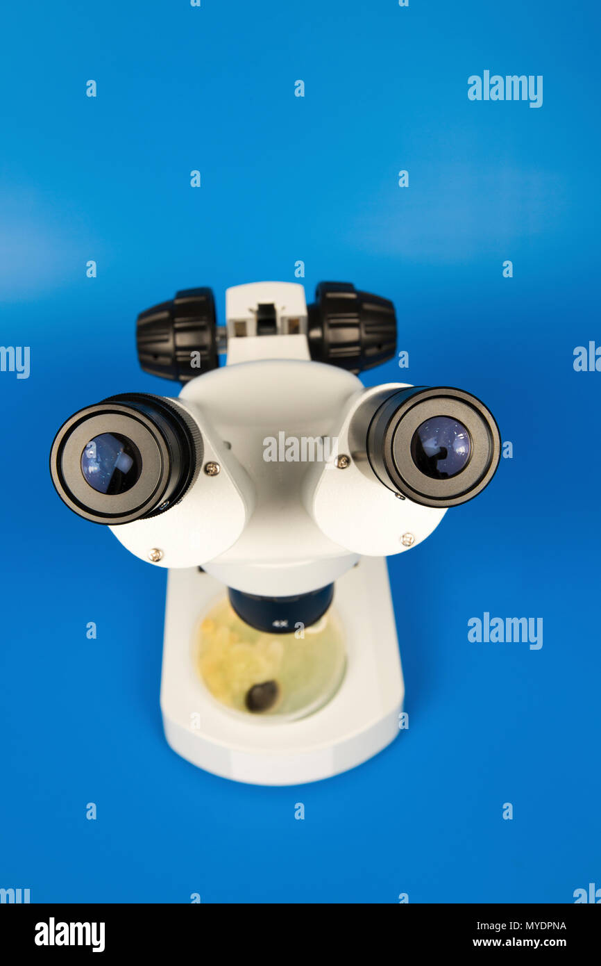 Microscope in lab Stock Photo - Alamy
