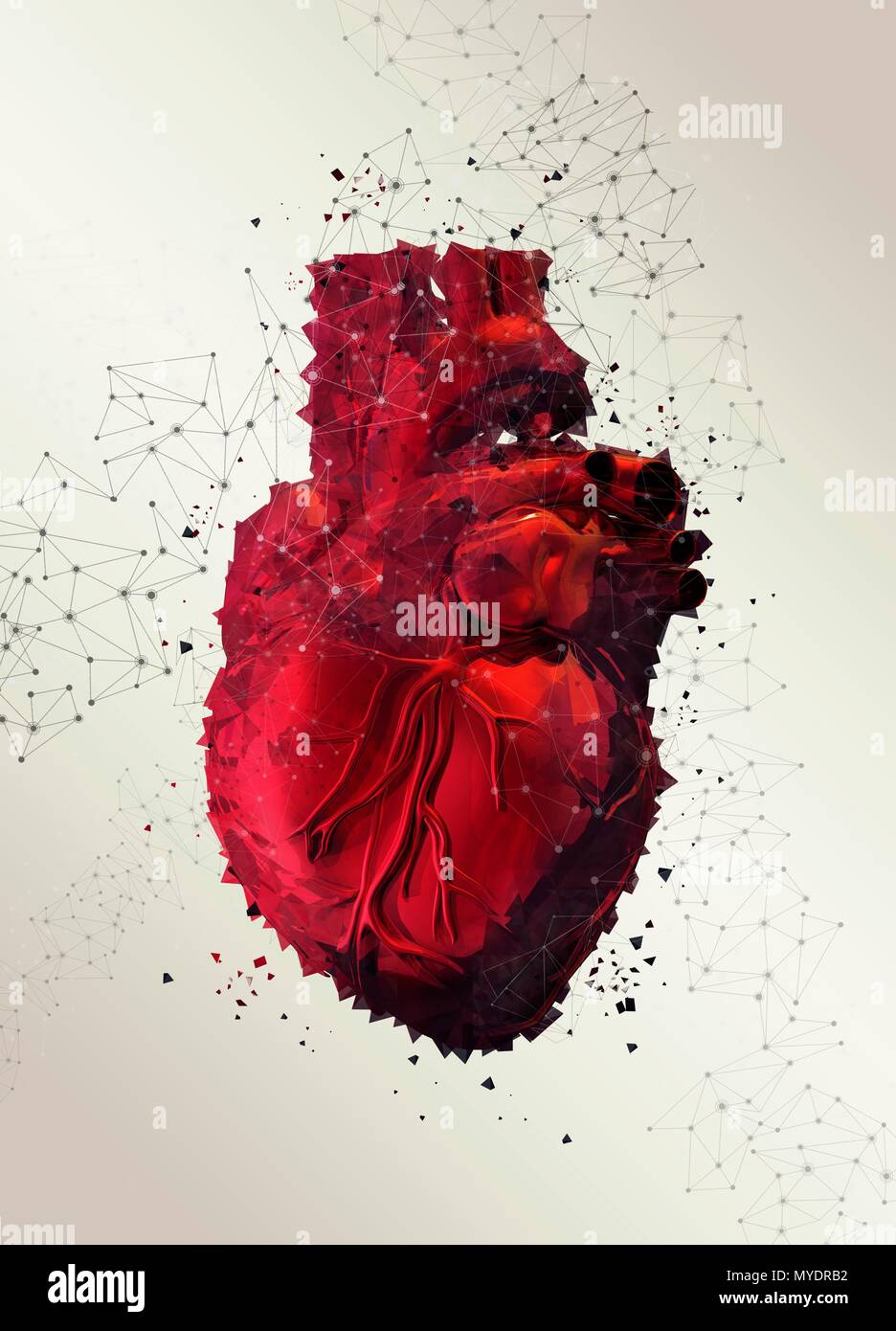 Red human heart hi-res stock photography and images - Alamy