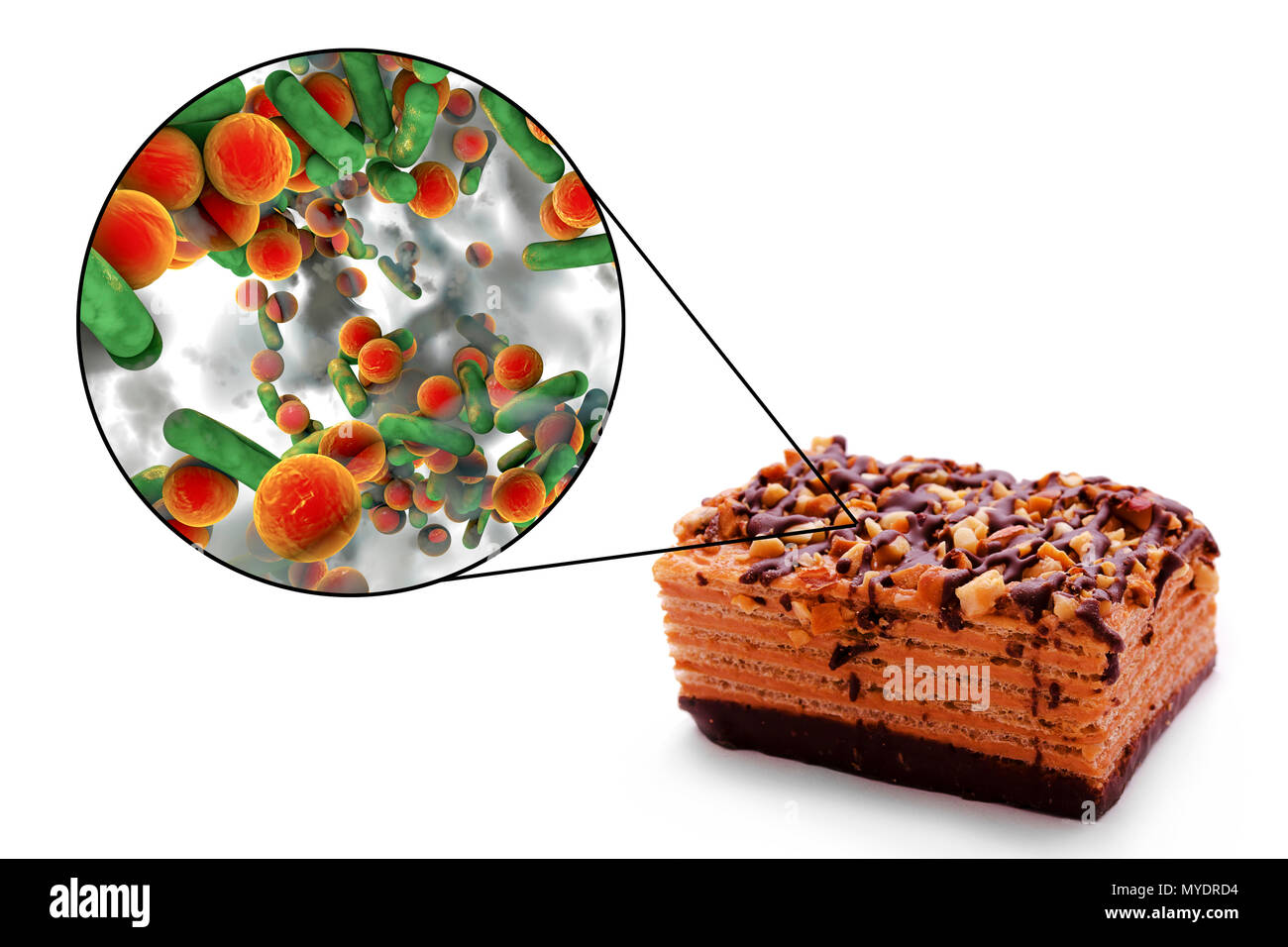 Microorganisms Bacteria In Food Microorganisms Bacteria In Food