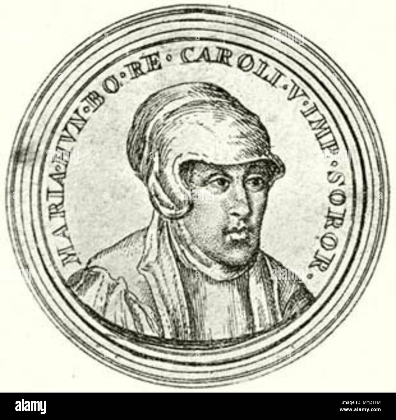 3 138 hi-res stock photography and images - Alamy