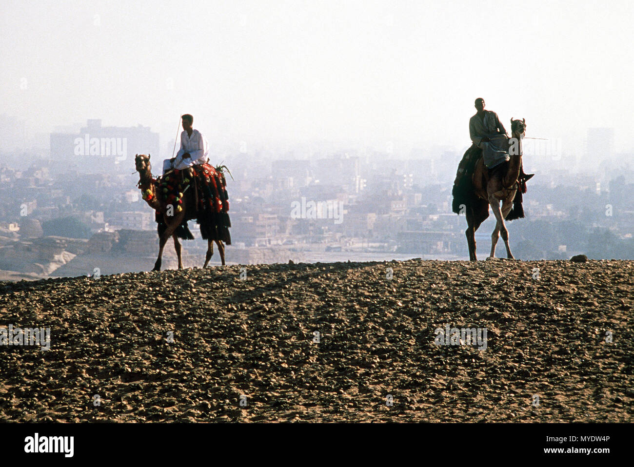 Cairo egypt 1990s hi-res stock photography and images - Alamy