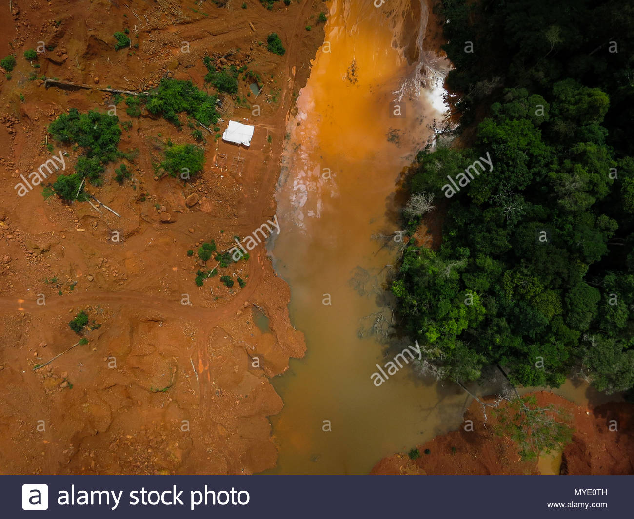 Amazon Rainforest Stock Photos & Amazon Rainforest Stock Images - Alamy