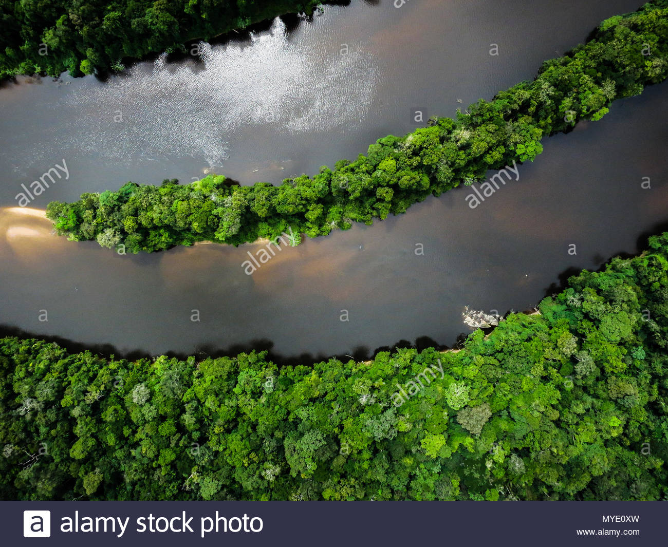 Suriname Stock Photos & Suriname Stock Images - Alamy