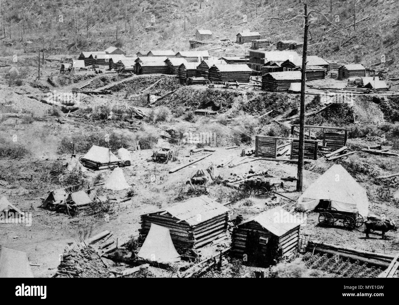 Gayville hi-res stock photography and images - Alamy