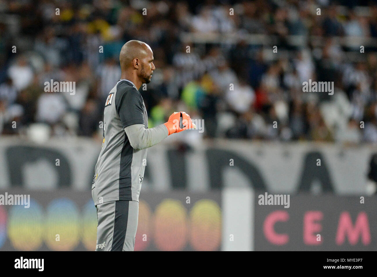 Brazil goalkeeper jefferson hi-res stock photography and images - Alamy