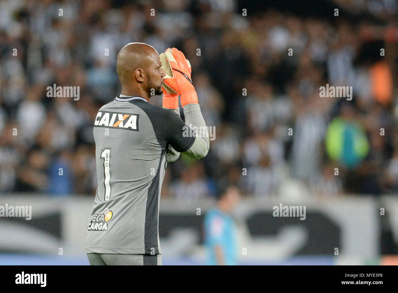 Brazil goalkeeper jefferson hi-res stock photography and images - Alamy