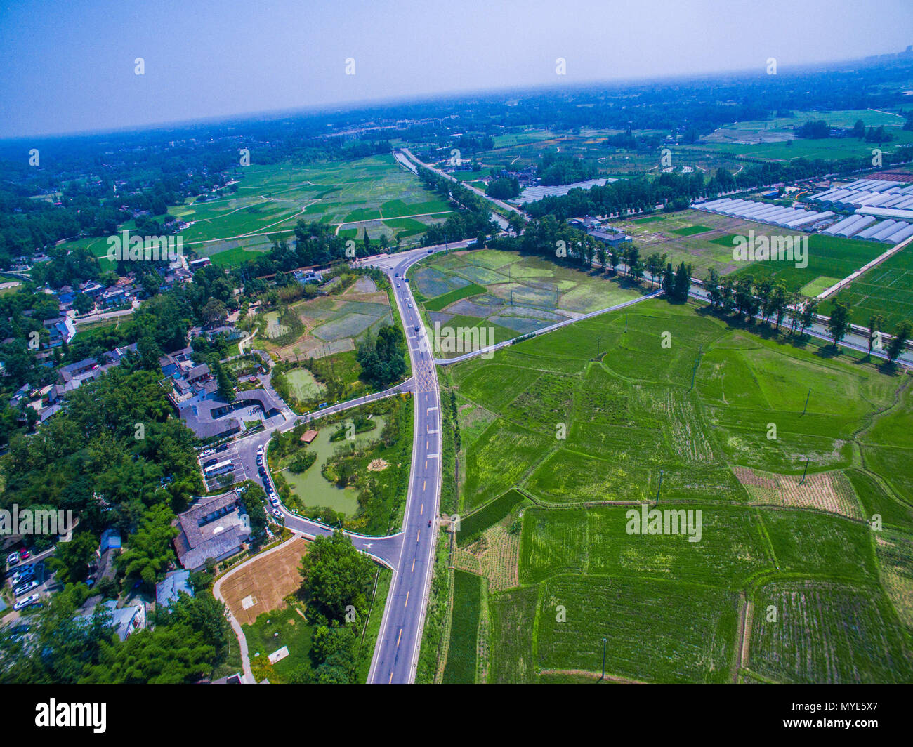 China sichuan daoming bamboo hi-res stock photography and images - Alamy