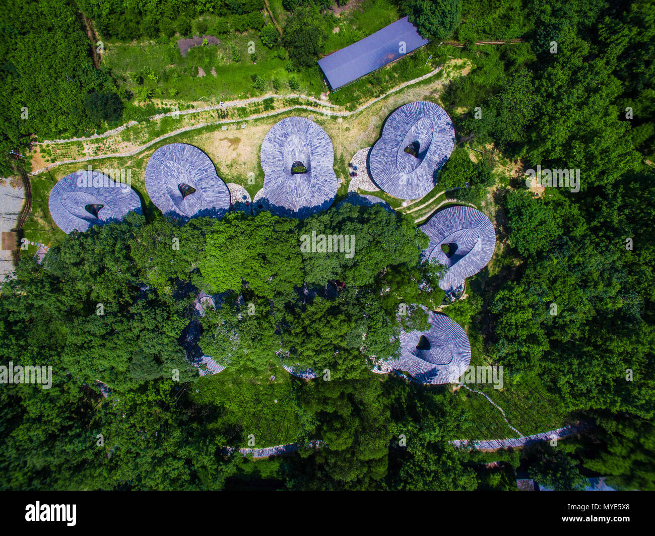 China sichuan daoming bamboo hi-res stock photography and images - Alamy