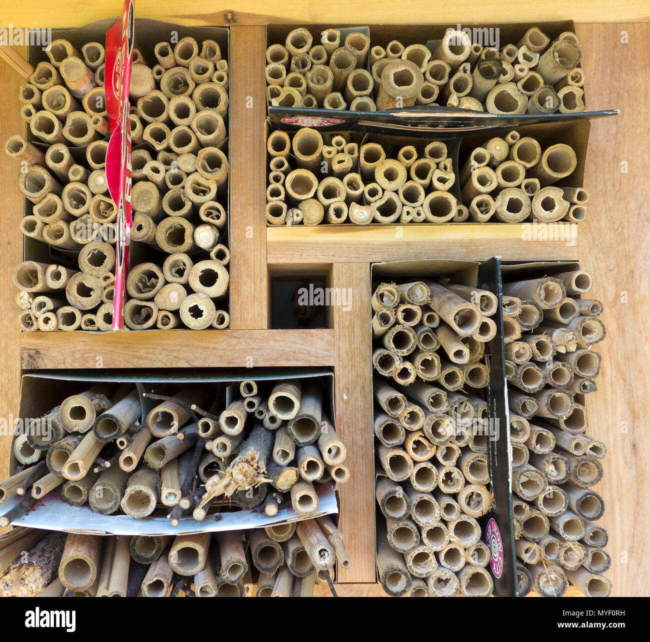 Bee City Bee Habitat Stock Photo - Alamy