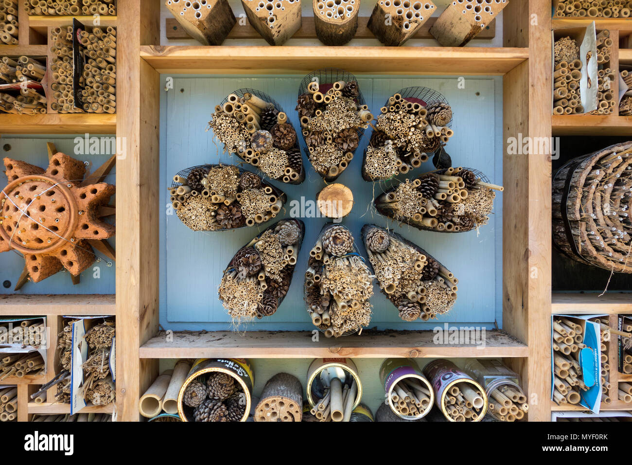 Bee City Bee Habitat Stock Photo - Alamy