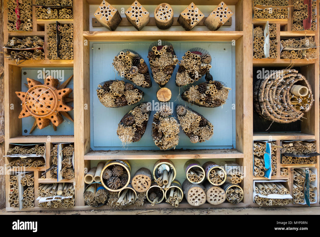 Bee habitat hi-res stock photography and images - Alamy