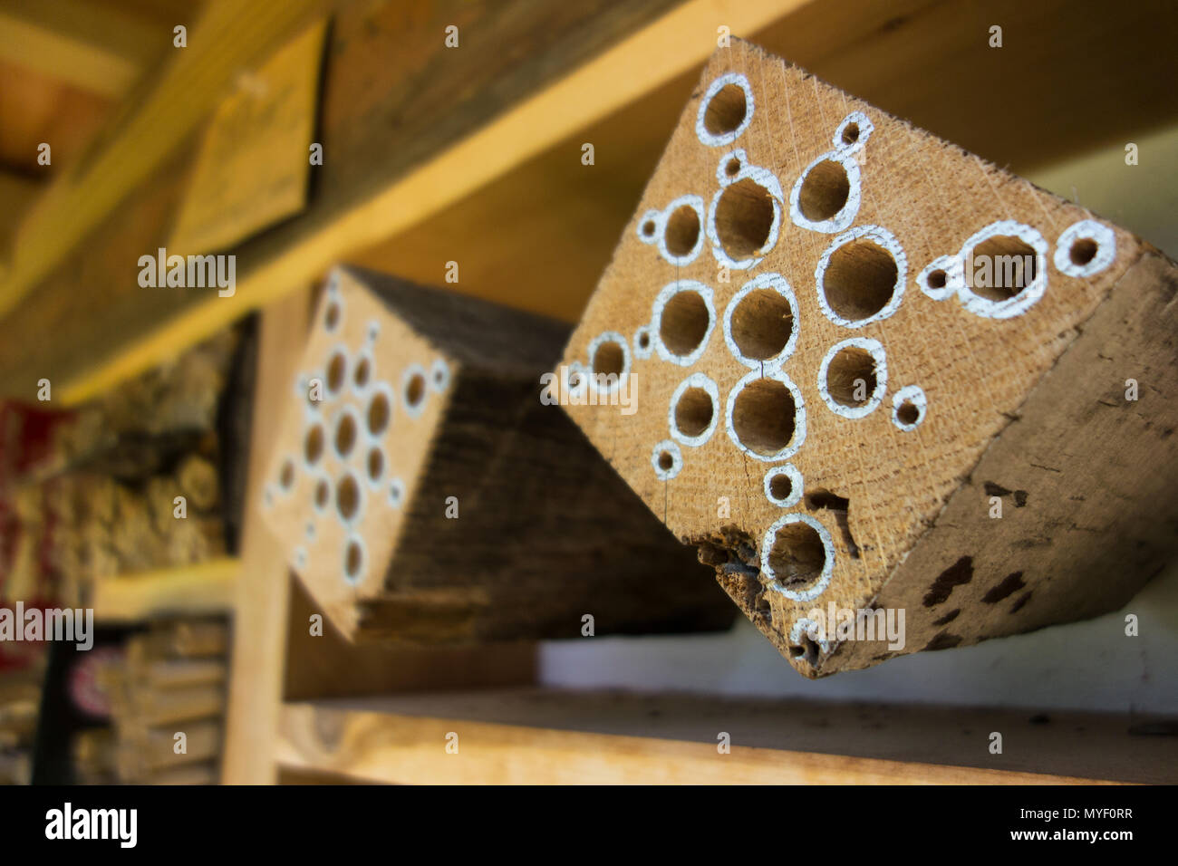 Bee City Bee Habitat Stock Photo - Alamy