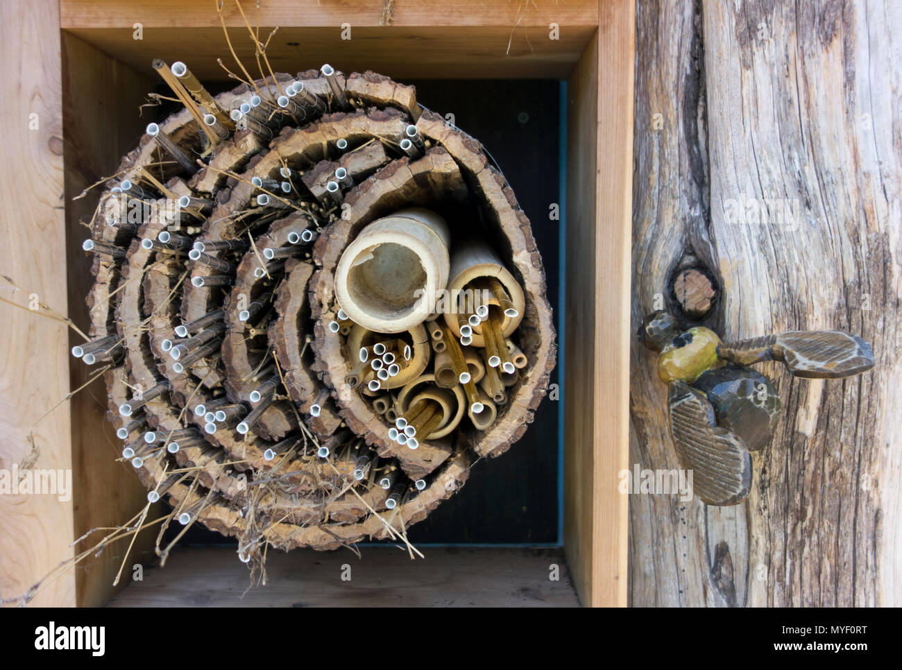 Bee habitat hi-res stock photography and images - Alamy