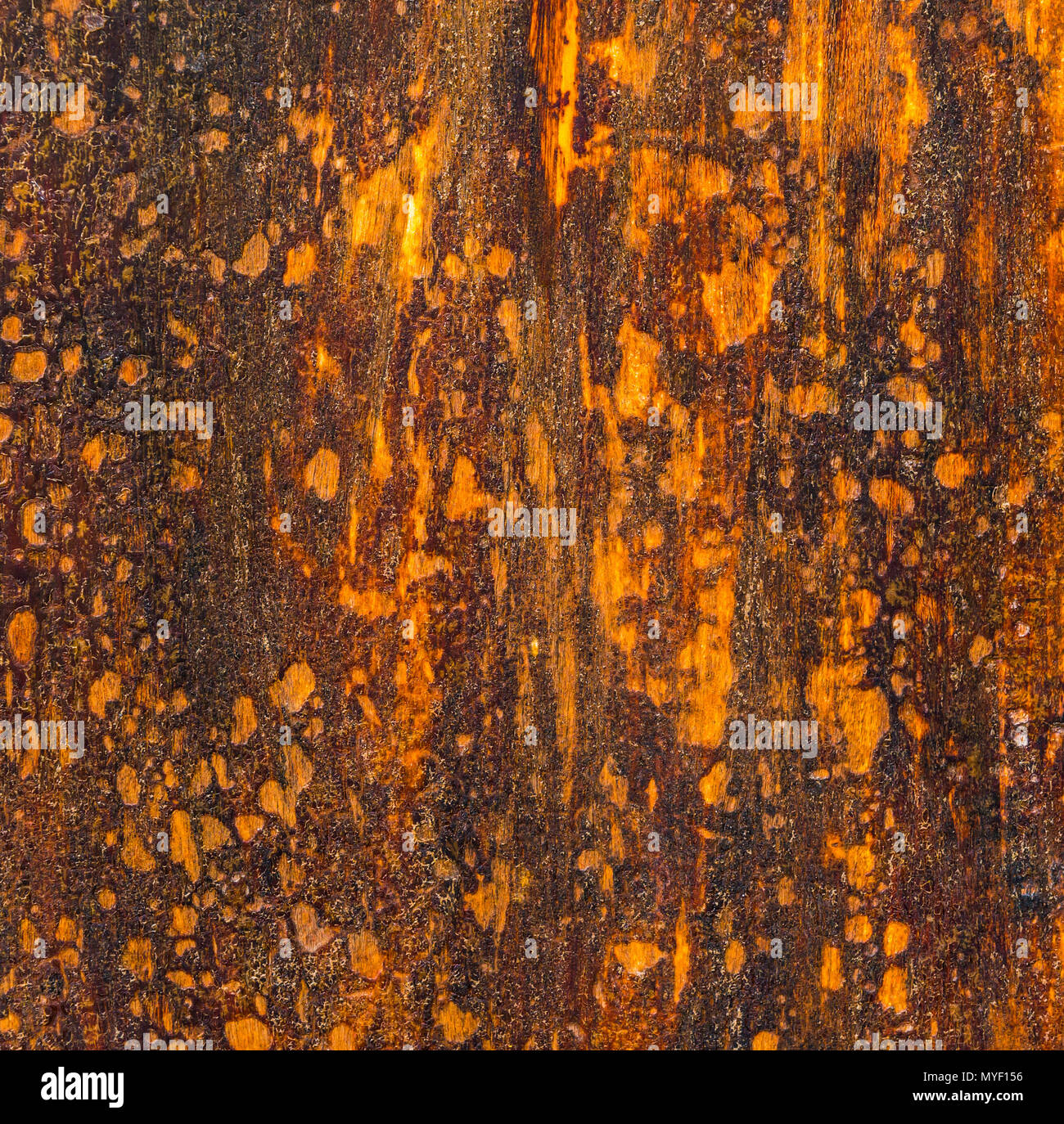 interesting texture of a wooden surface, natural wood as an elegant ...