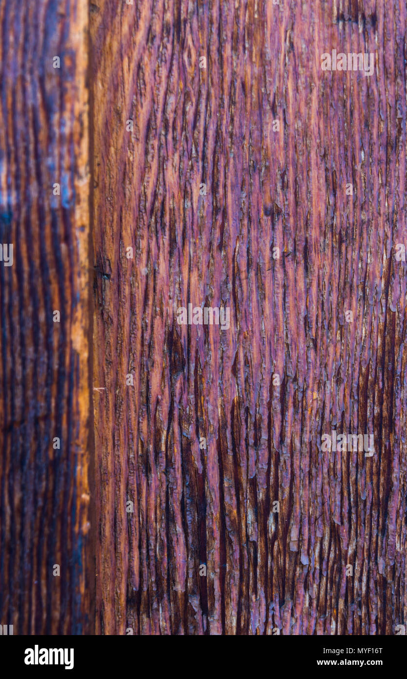 interesting texture of a wooden surface, natural wood as an elegant ...