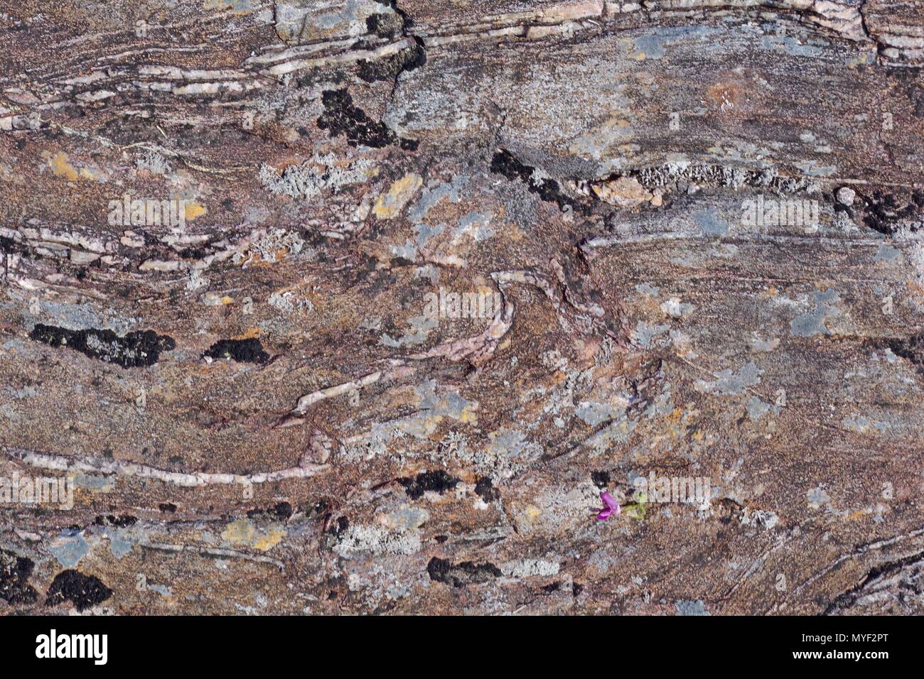 Lewisian gneiss metamorphic rock hi-res stock photography and images ...