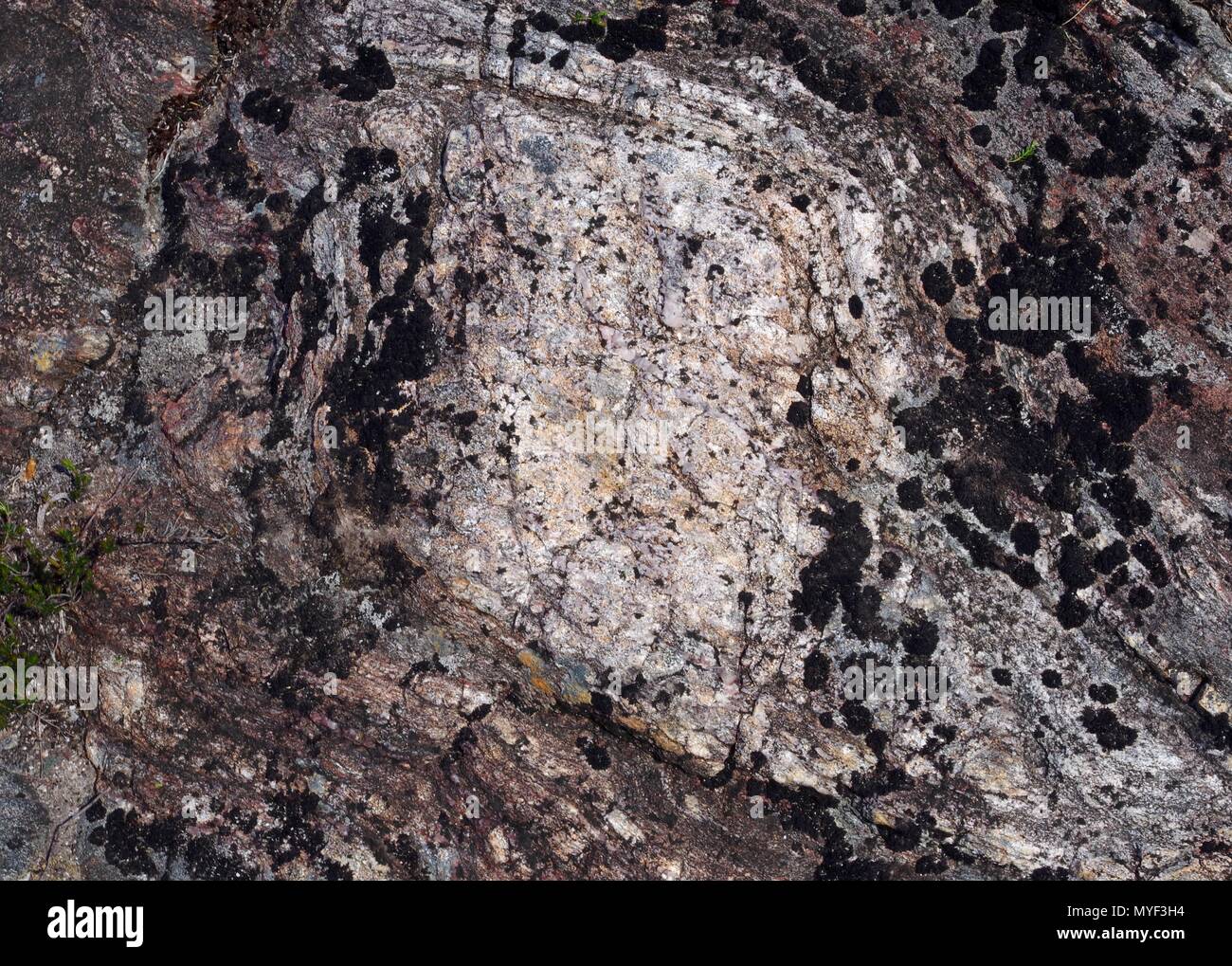 Sigma type porphyroblast hi-res stock photography and images - Alamy