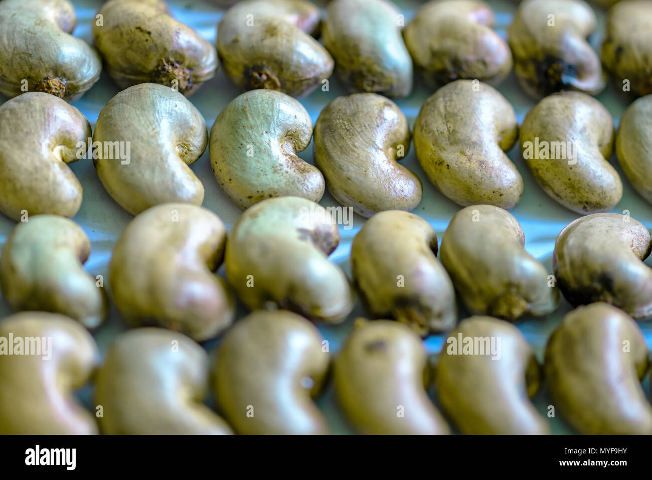 Kidney shape nut hi-res stock photography and images - Alamy