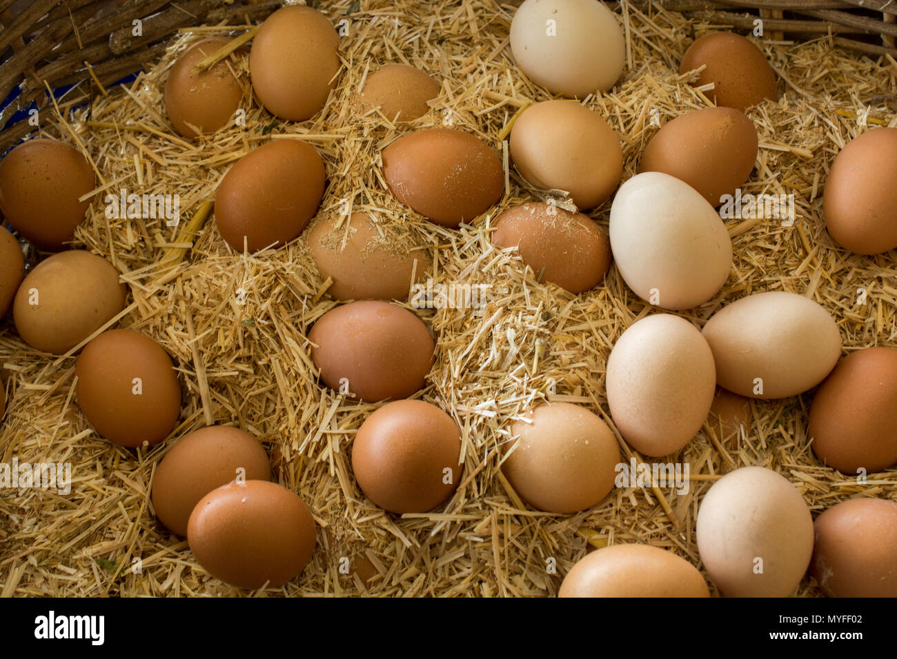 Organic fresh farm eggs at the market place Stock Photo - Alamy