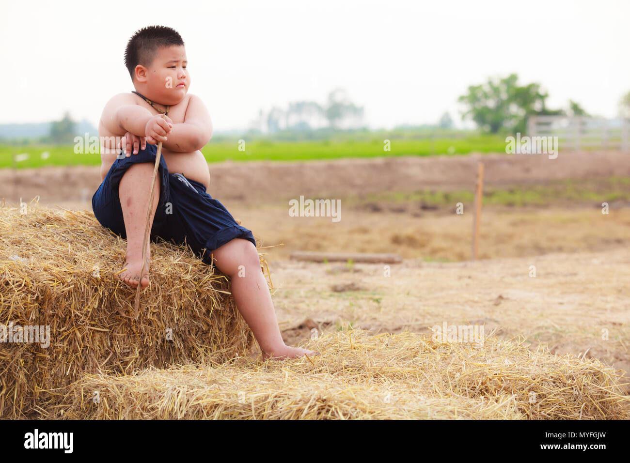 Young Boy In Paddy Field High Resolution Stock Photography and Images ...