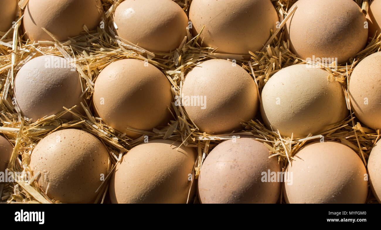 Organic fresh farm eggs at the market place Stock Photo - Alamy