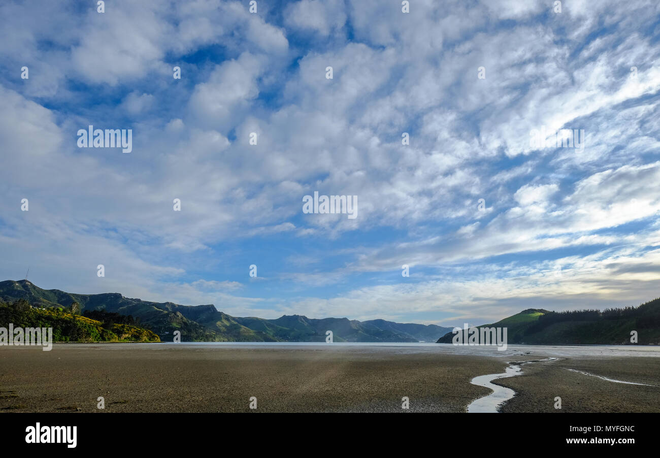 Rural scenery of Mackenzie Country, South Island, New Zealand Stock ...