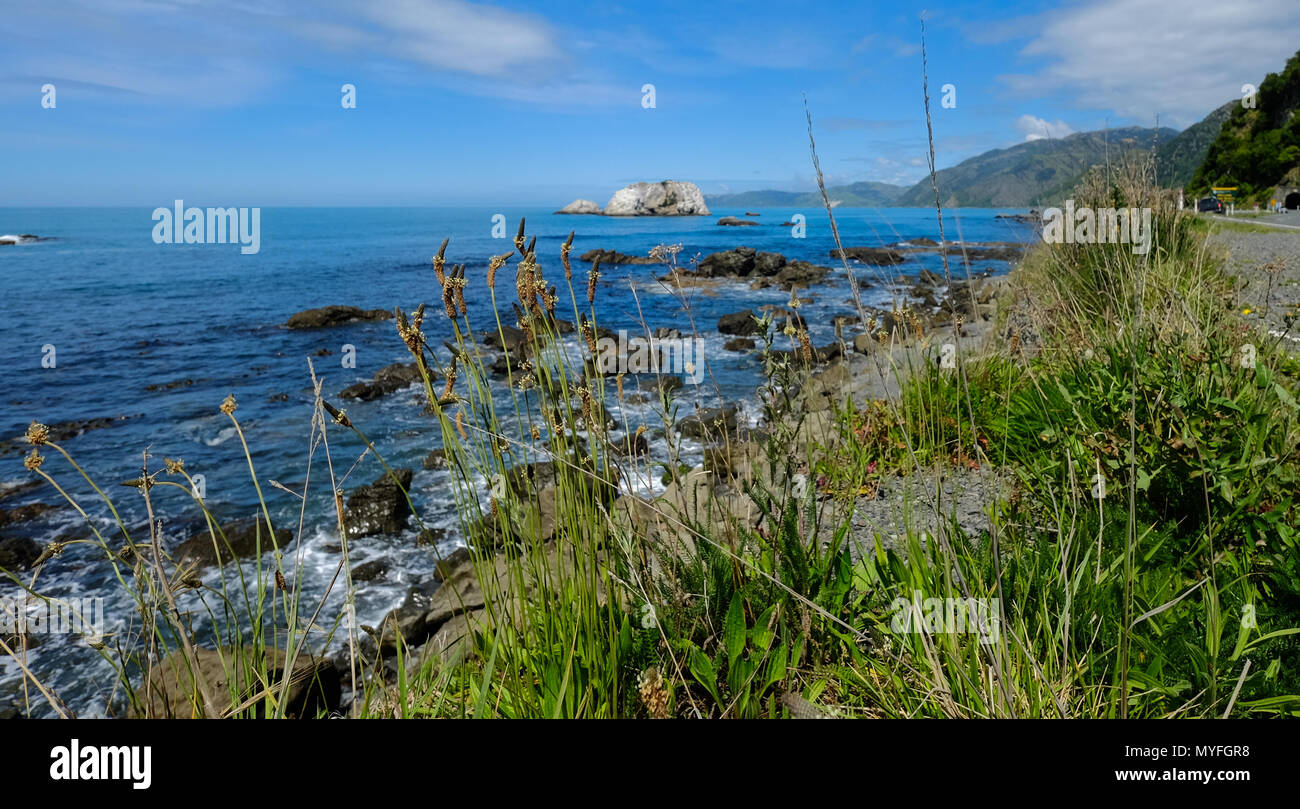 Rocks on beach at sunny day in South Island, New Zealand Stock Photo ...