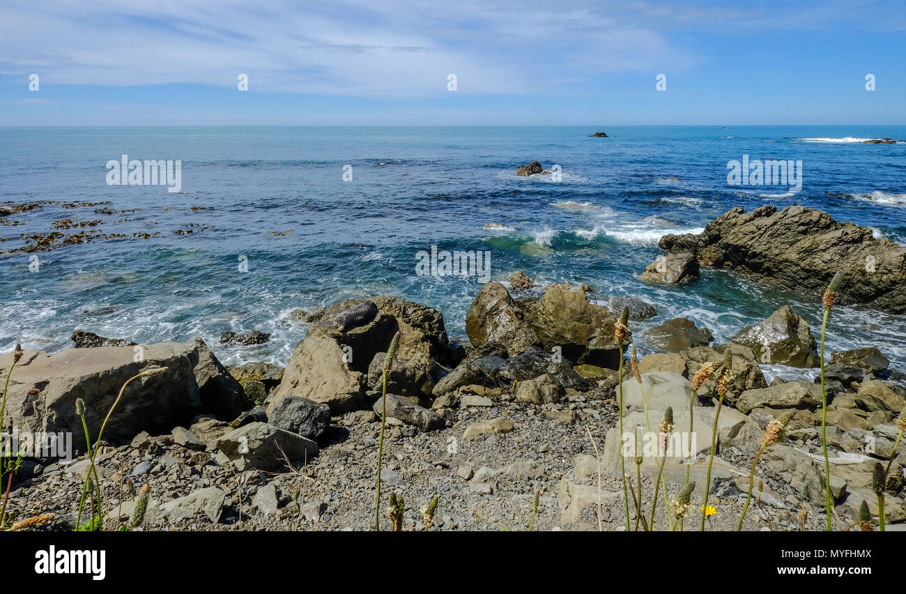 Rocks on beach at sunny day in South Island, New Zealand Stock Photo ...