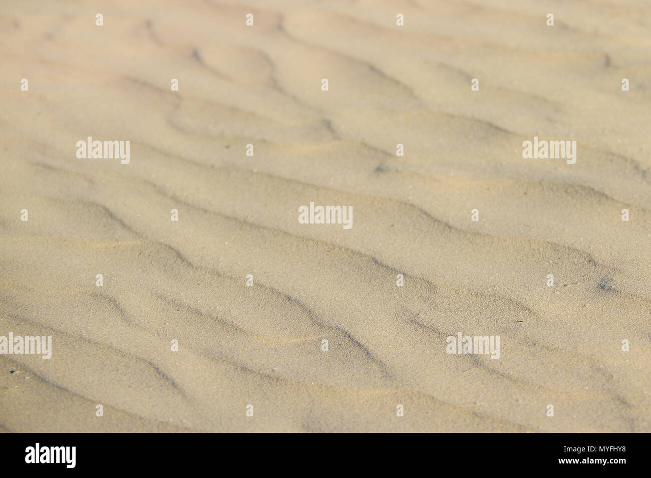Blowing Sand Ridges and Shadows Stock Photo - Alamy