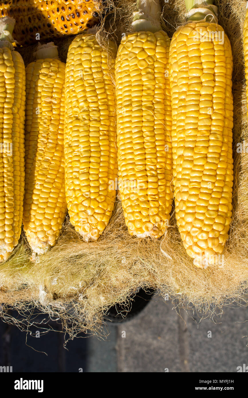 Dry corn on the cob kernels are peeled Stock Photo - Alamy