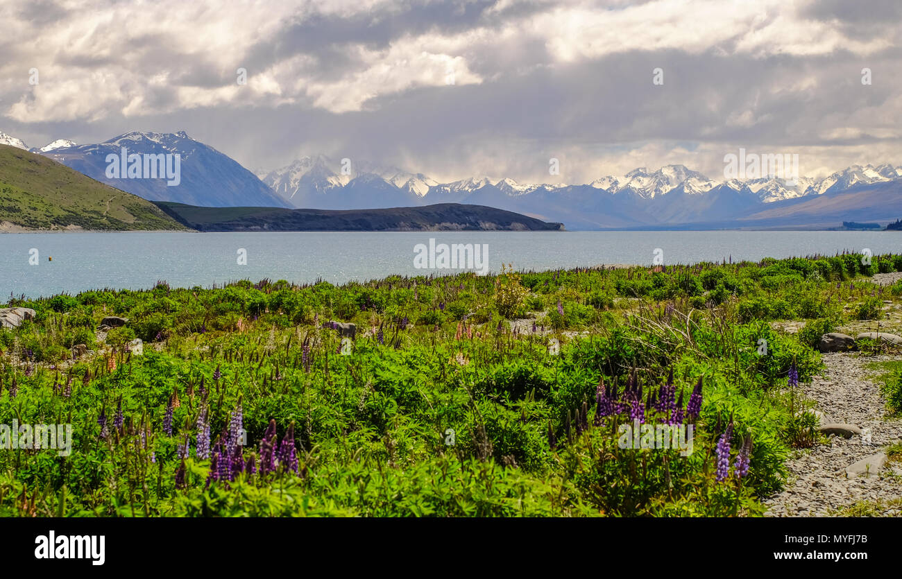 Mackenzie natural area hi-res stock photography and images - Alamy