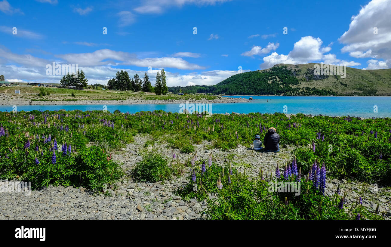Mackenzie Natural Area High Resolution Stock Photography and Images - Alamy