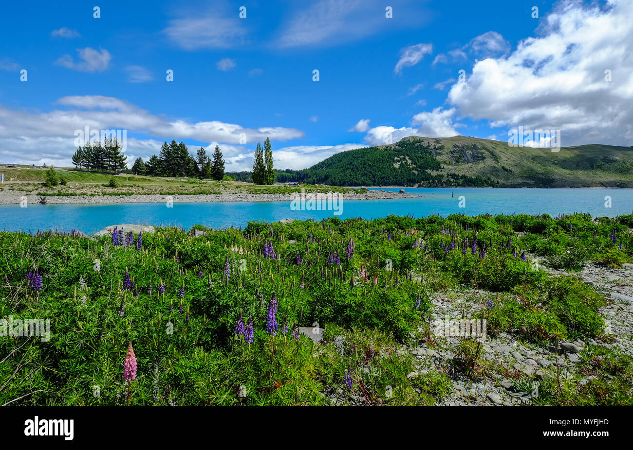 Mackenzie natural area hi-res stock photography and images - Alamy