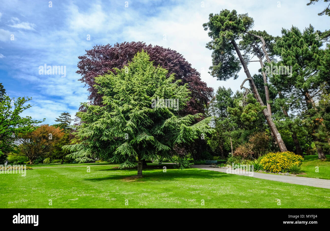 Botanic garden at spring time in Christchurch, New Zealand Stock Photo ...