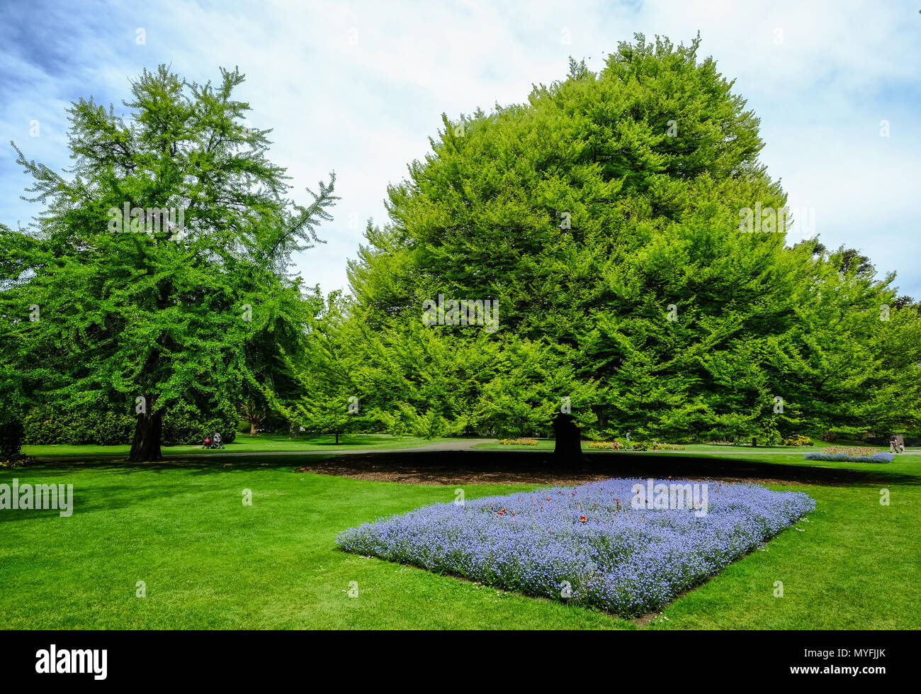 Botanic garden at spring time in Christchurch, New Zealand Stock Photo ...