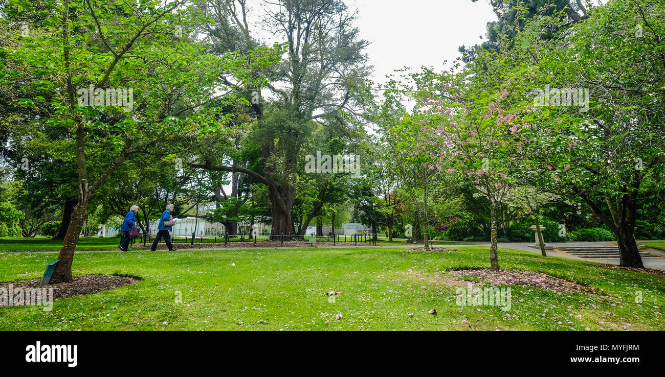 Botanic garden at spring time in Christchurch, New Zealand Stock Photo ...