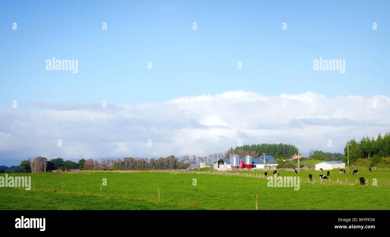 Landscape view of a rural farm in New Zealand Stock Photo - Alamy