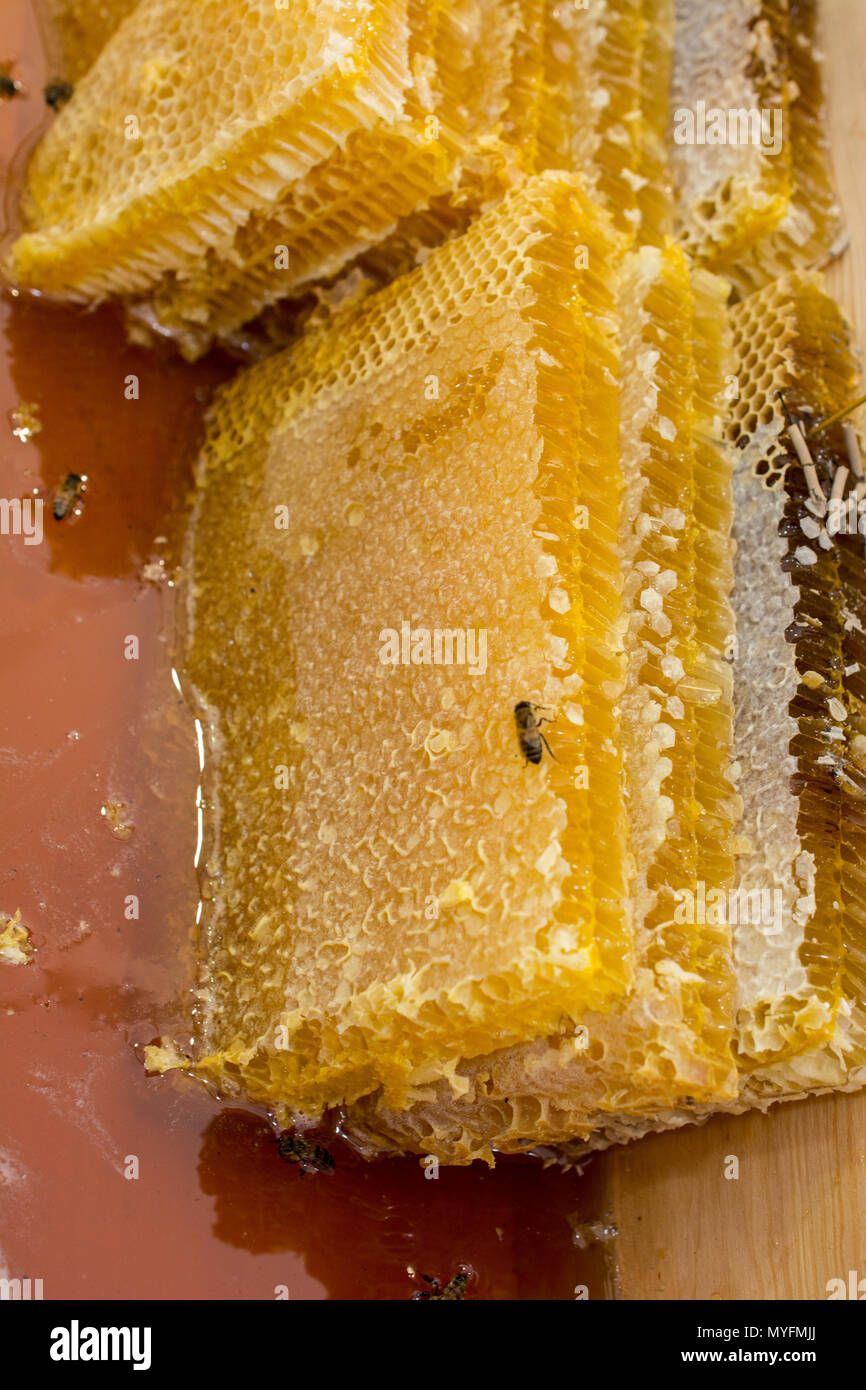 Fresh natural yellow honey in liquid form Stock Photo - Alamy