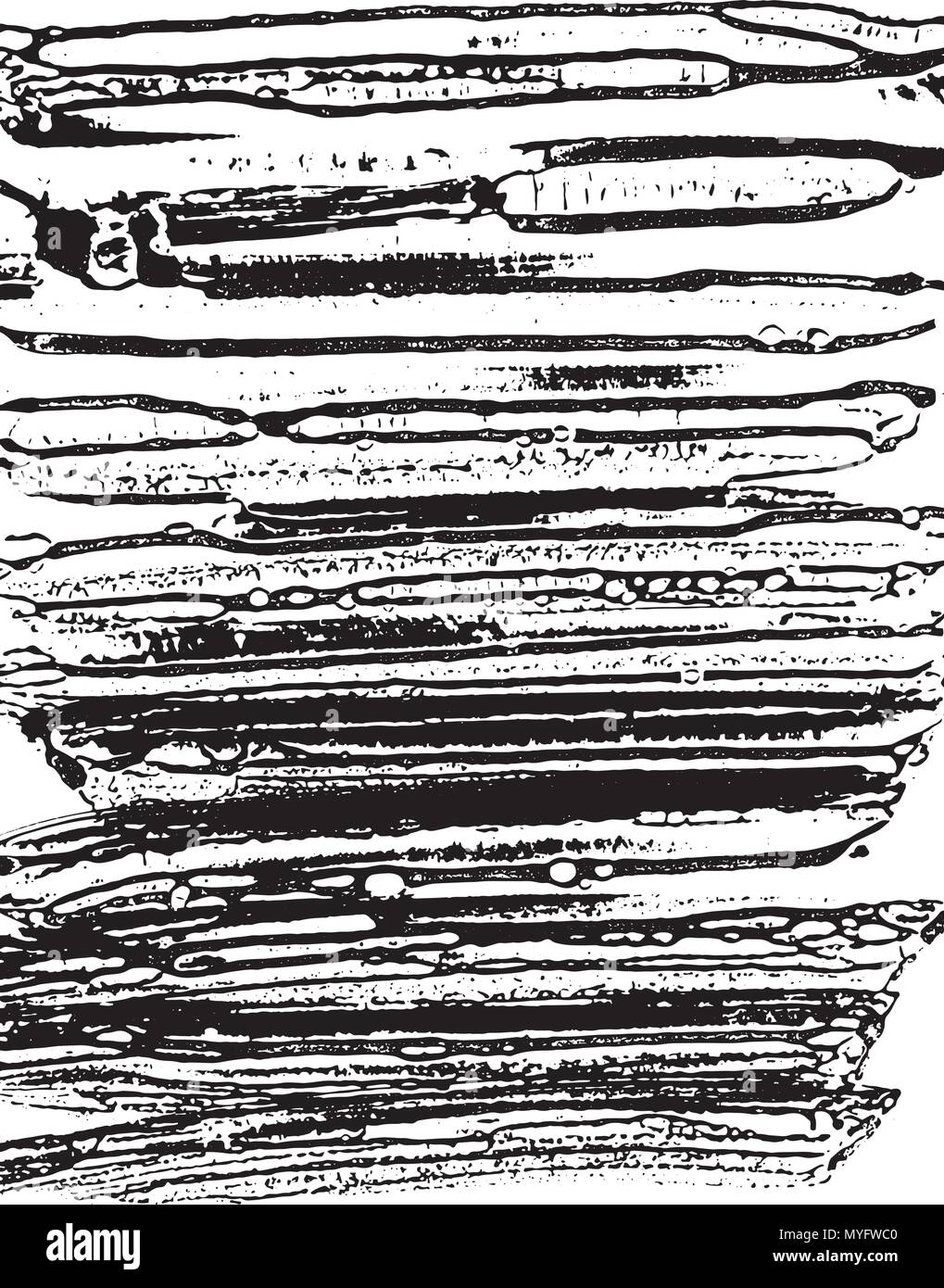 Ink vector sponge background. Vector illustration. Grunge hand drawn ...