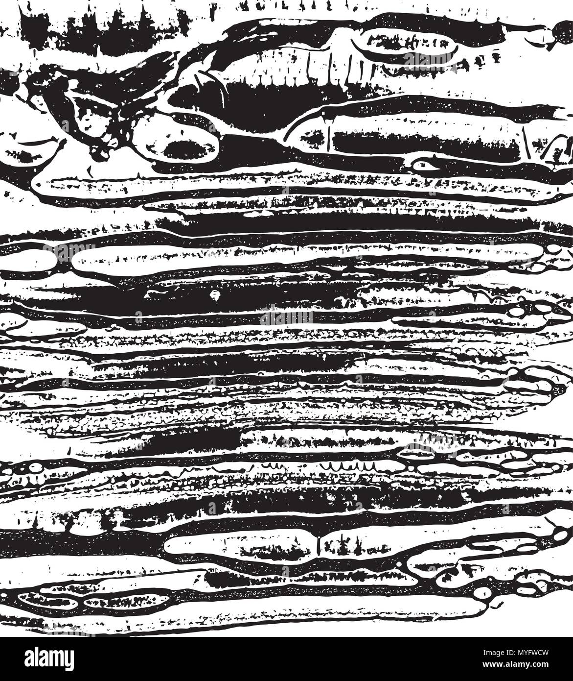 Ink vector sponge background. Vector illustration. Grunge hand drawn ...