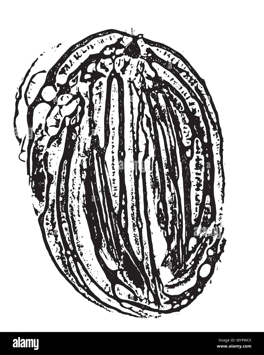 Ink vector sponge background. Vector illustration. Grunge hand drawn ...