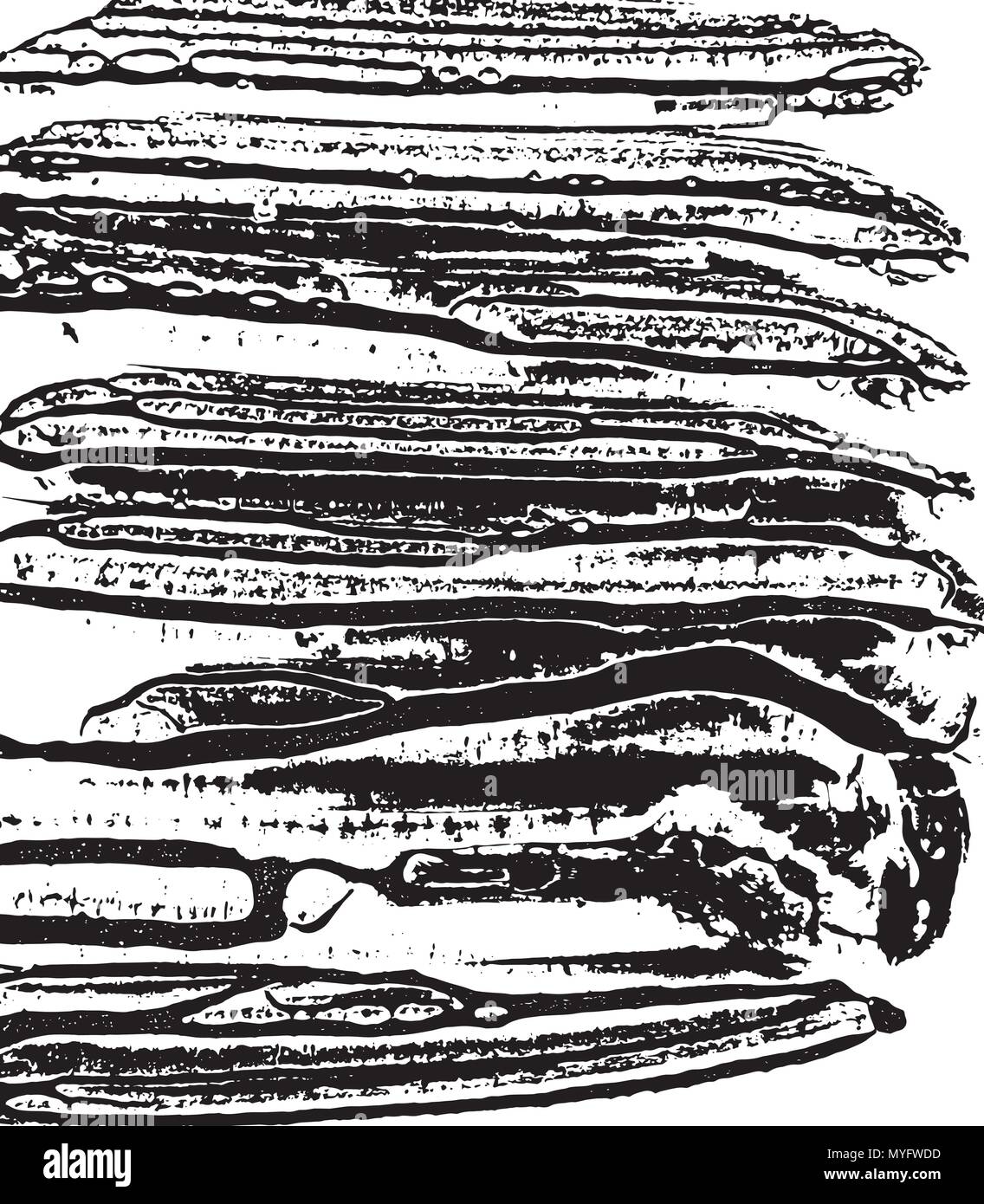 Ink vector sponge background. Vector illustration. Grunge hand drawn ...