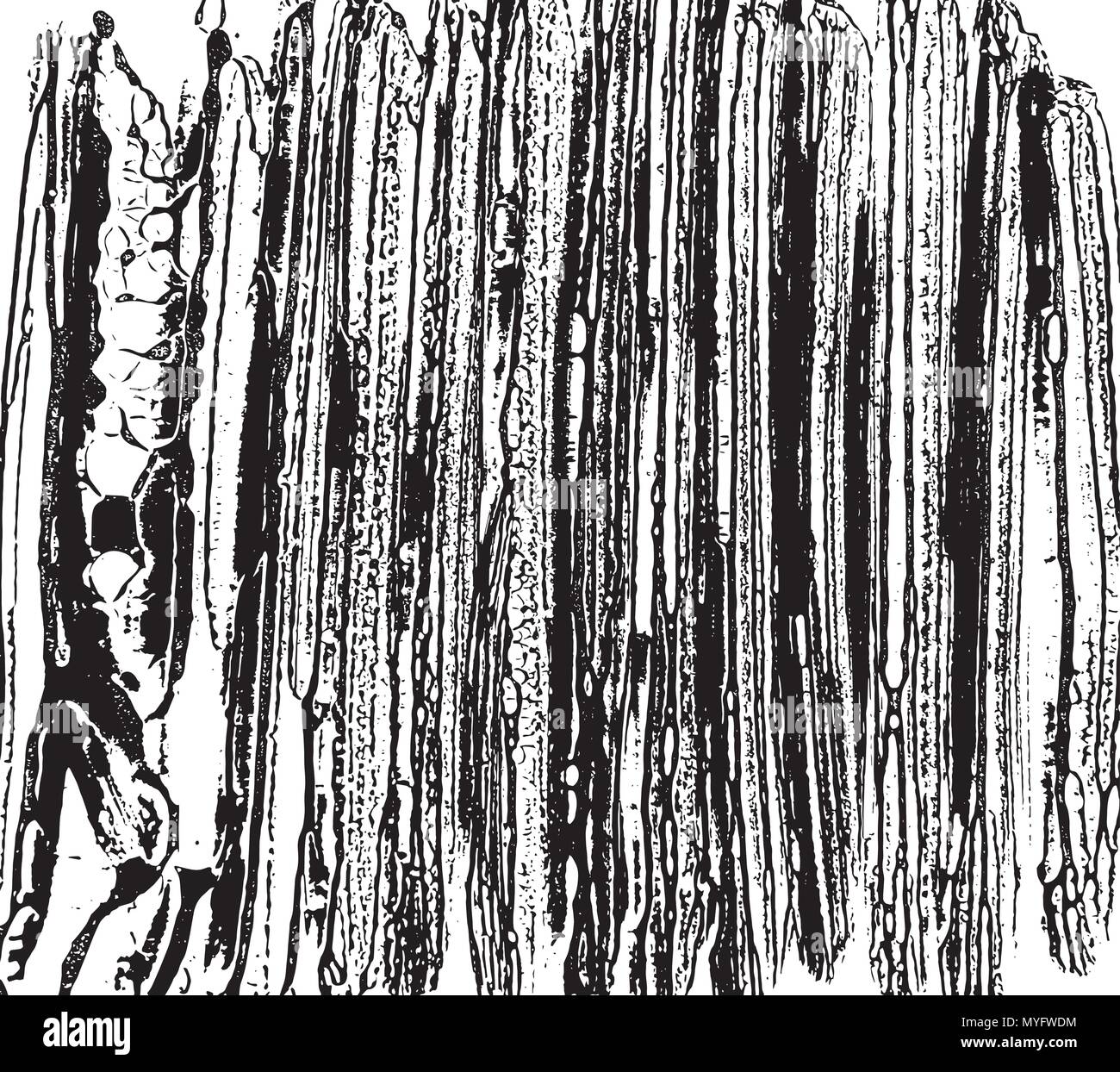 Ink vector sponge background. Vector illustration. Grunge hand drawn ...