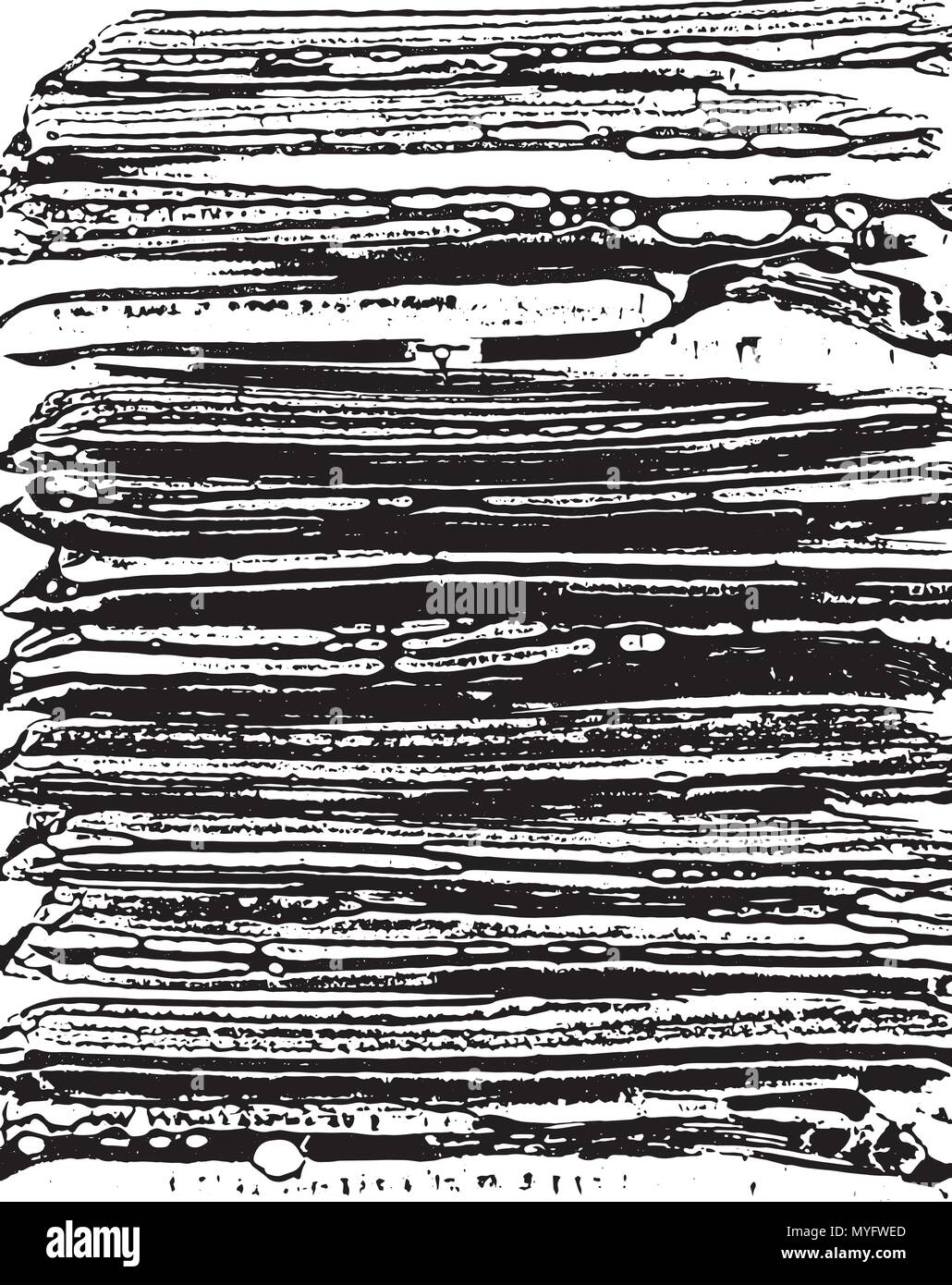 Ink vector sponge background. Vector illustration. Grunge hand drawn ...