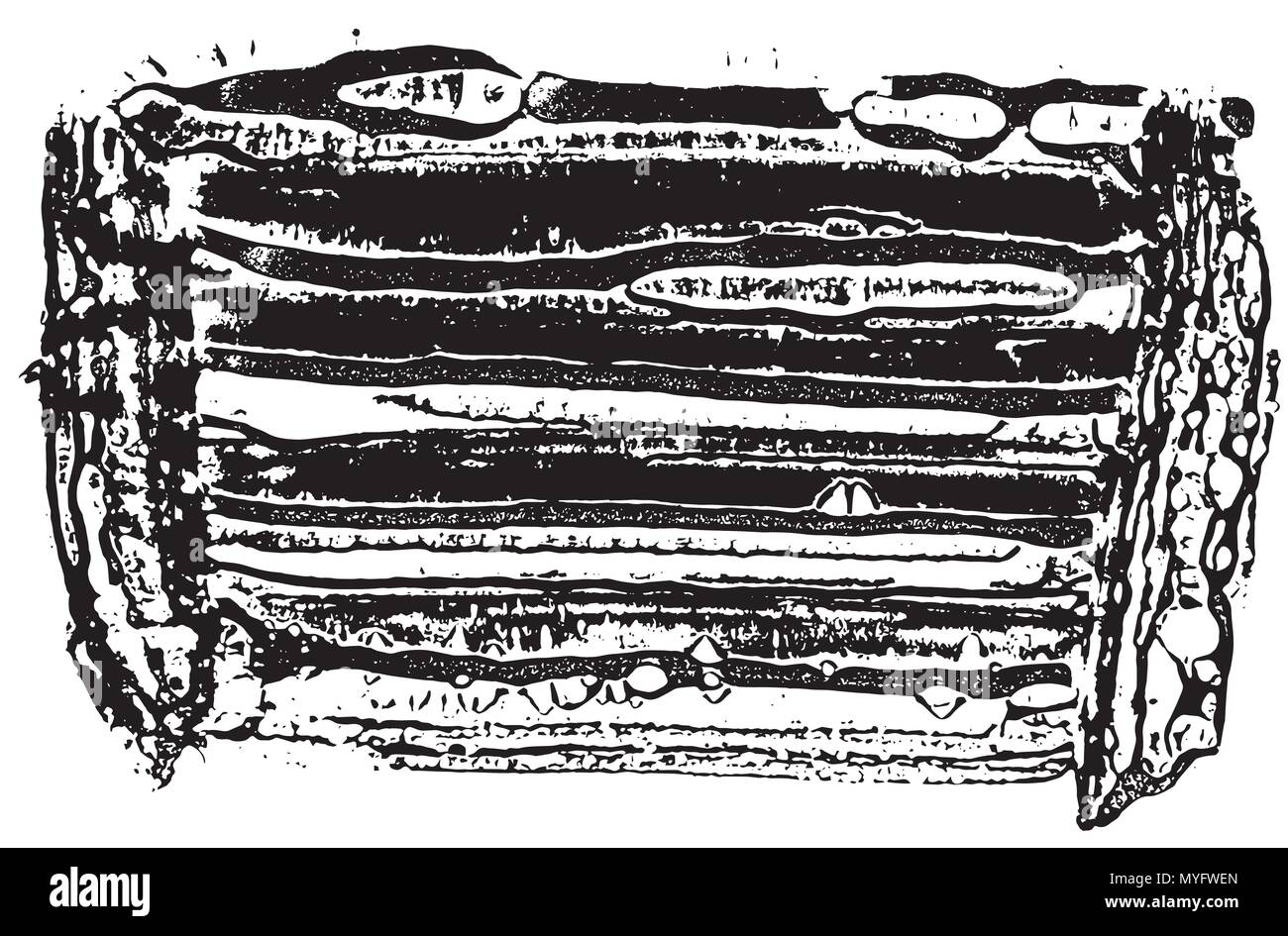 Ink vector sponge background. Vector illustration. Grunge hand drawn ...