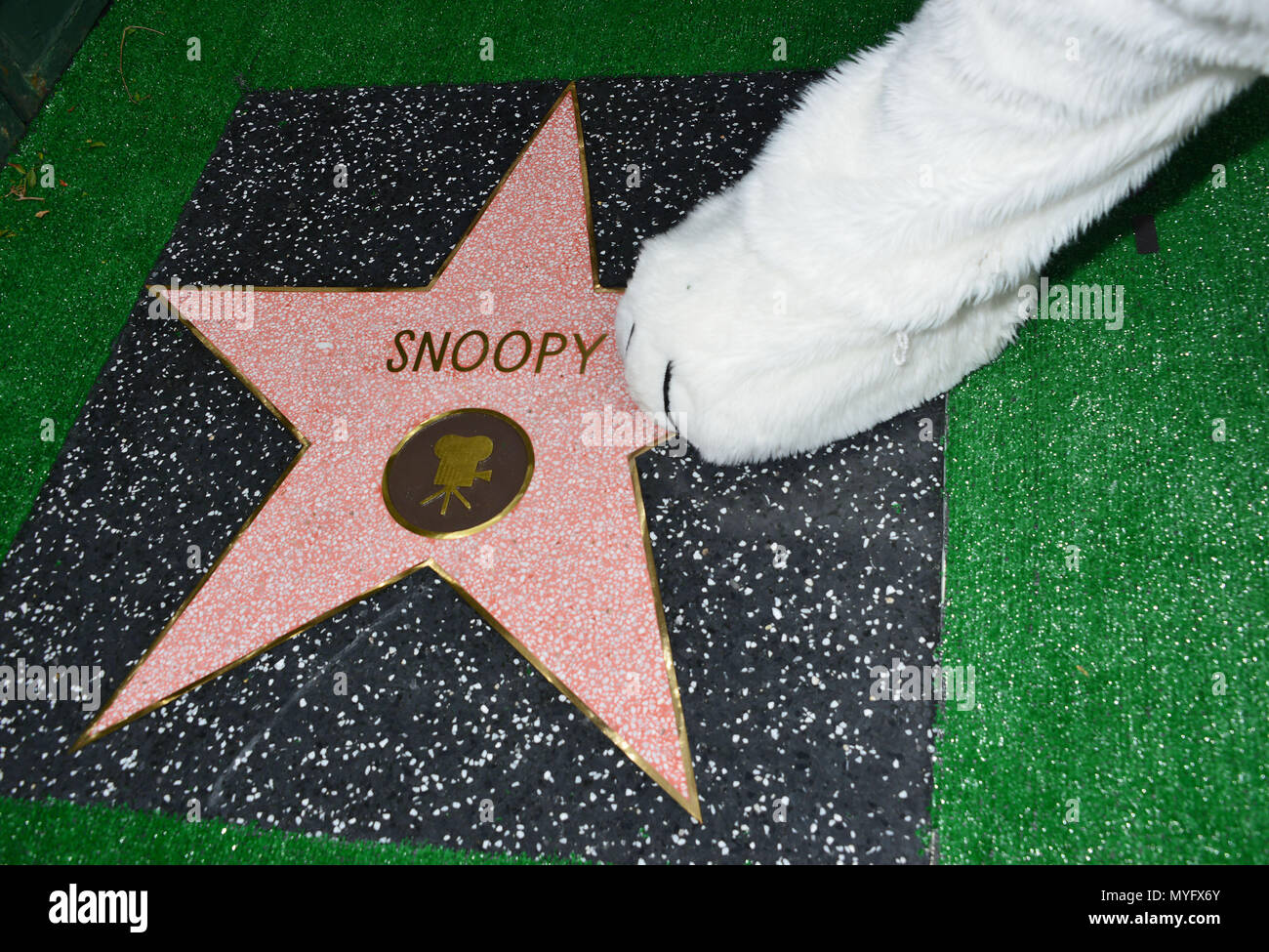 Snoopy star 001 event in hollywood life california hi-res stock ...