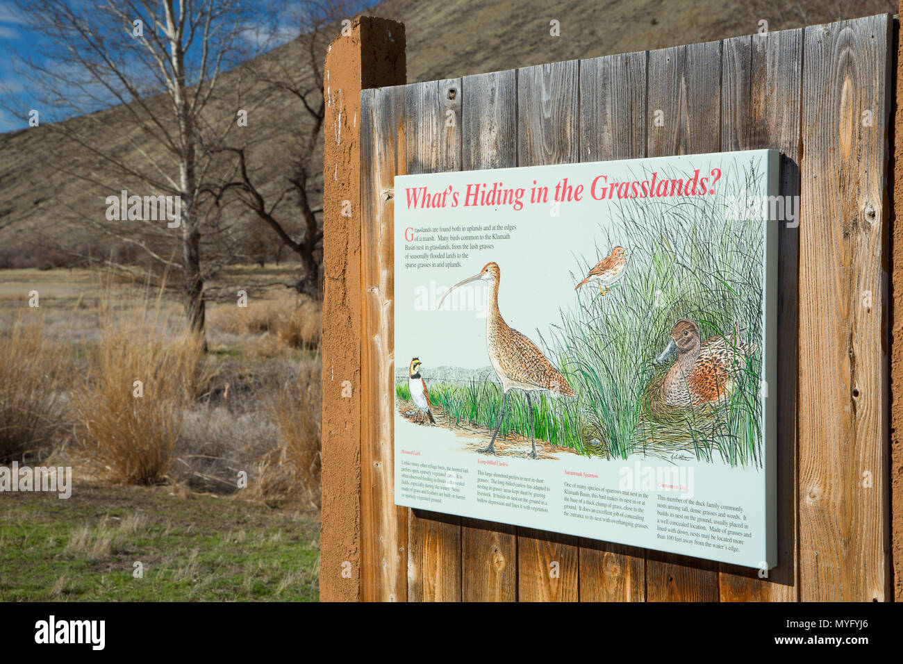 Discovery Marsh Nature Trail interpretive board, Tule Lake National ...